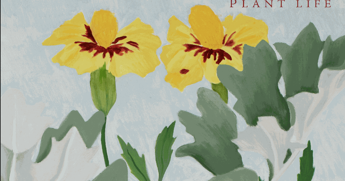 Publication: Janet Alling - Plant Life | Seven Sisters